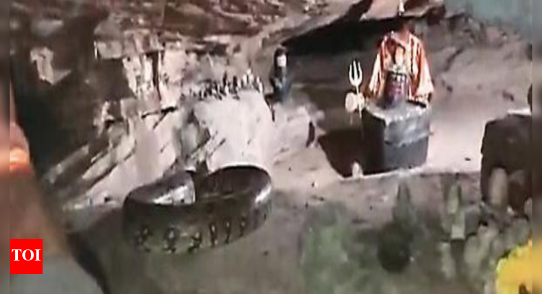 Ajgar Baba: Madhya Pradesh: Python slithers into temple, uncoils 'Ajgar ...