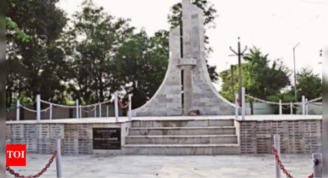 Military part of every family tree in this Haryana village - The Times ...