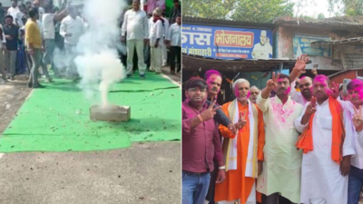 Bihar assembly bypoll results 2022: RJD retains Mokama seat, BJP keeps ...