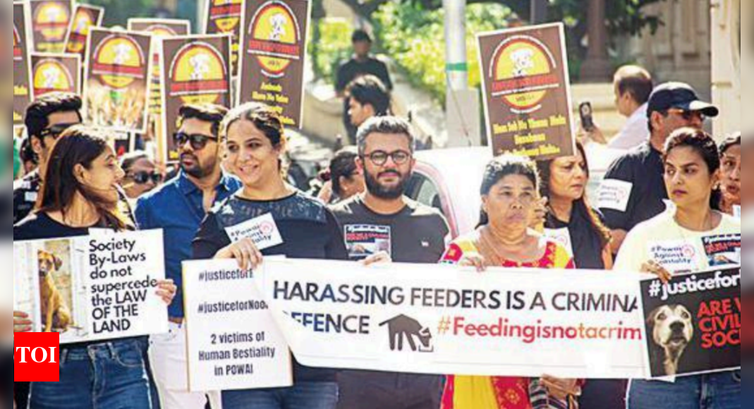 Strays may starve: Plea in SC against Bombay HC order | Mumbai News ...