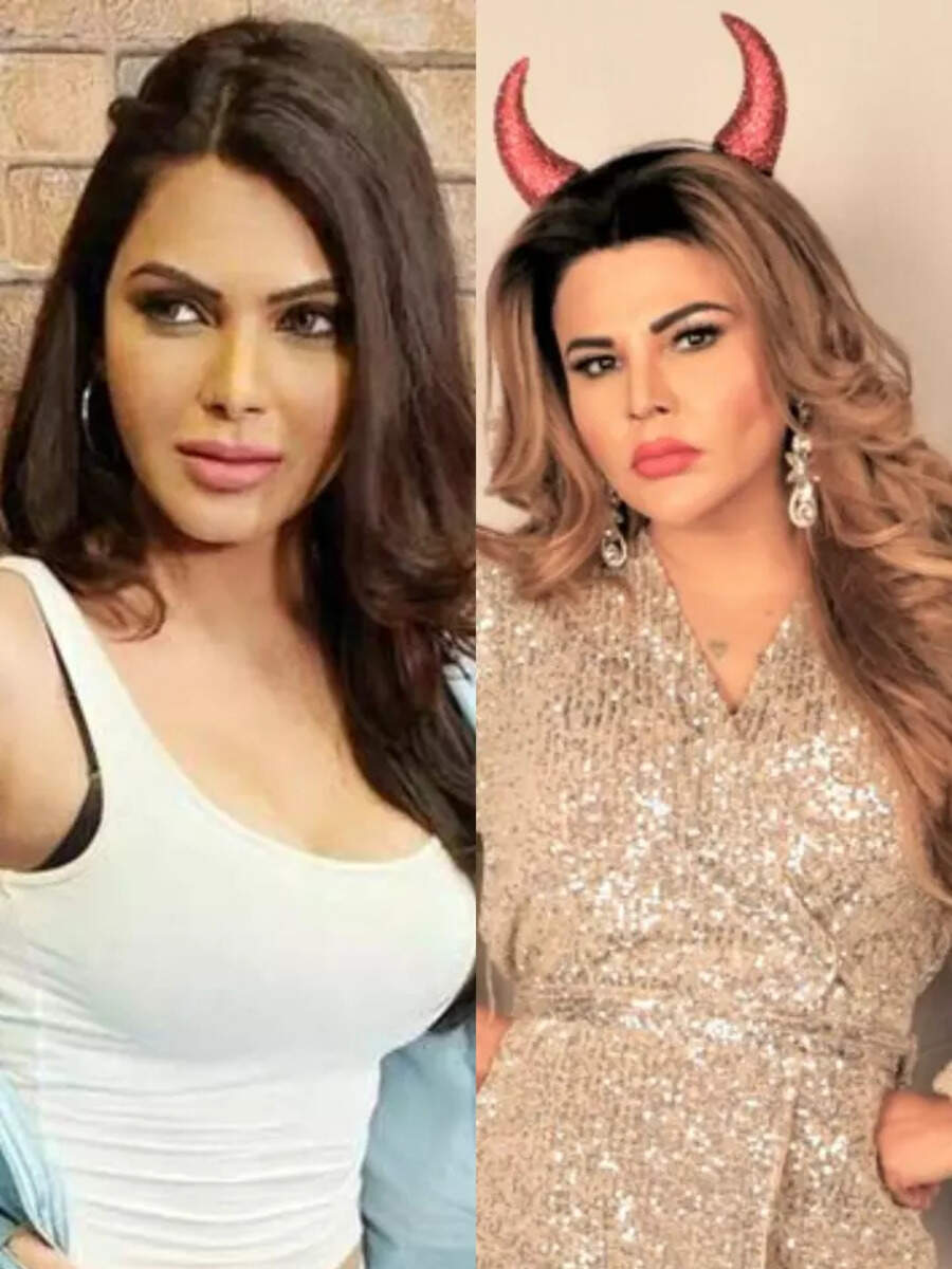 Sherlyn Chopra files defamation case against Rakhi Sawant | Zoom TV