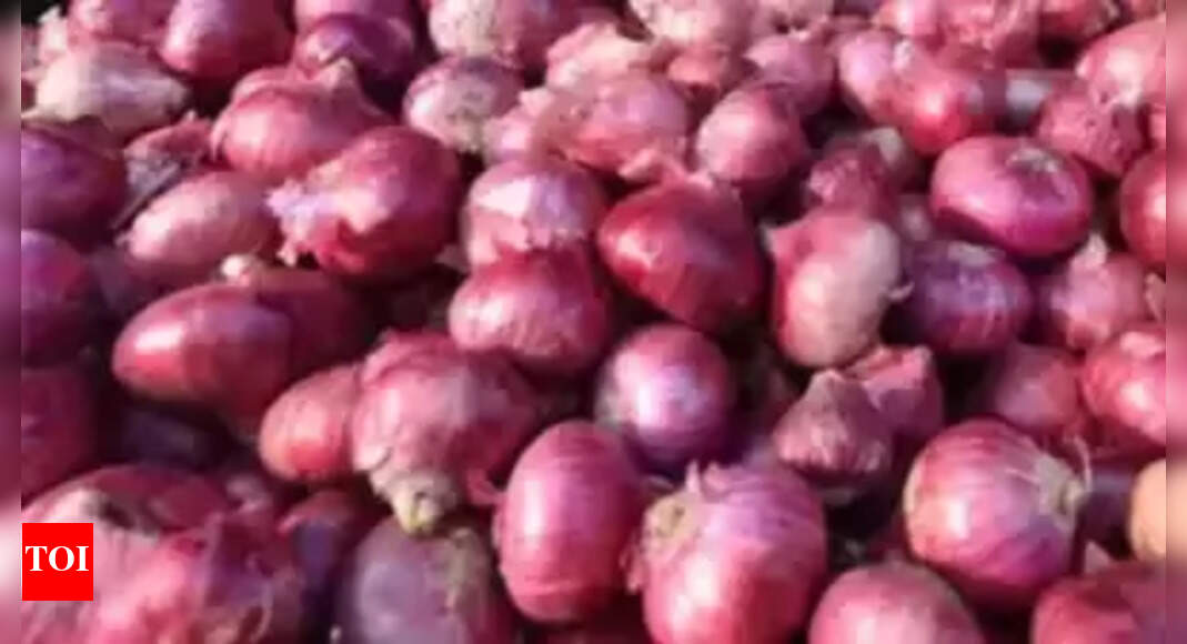 Why onion prices are unlikely to see a significant spike - CRISIL explains - Times of India