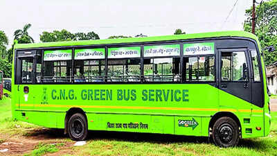 75 new CNG buses to ply on Patna roads soon | Patna News - Times of India