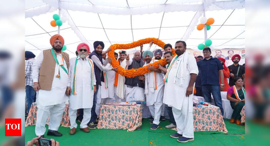 Himachal Pradesh Elections 2022: BJP cannot fool people of Himachal with its 'jumlas', says ...