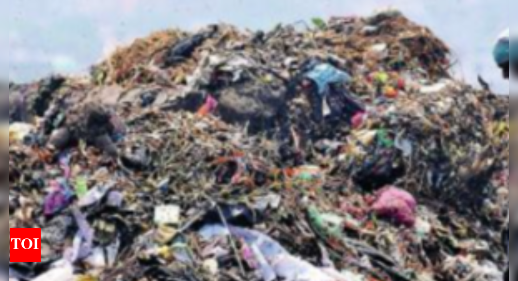 Municipal Corporation of Delhi brushes aside claims of mishap at ...