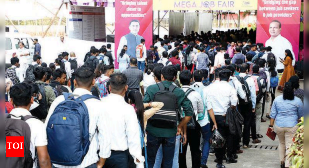 For Govt Jobs In Goa Minimum 1 Year Experience In Private Sector A