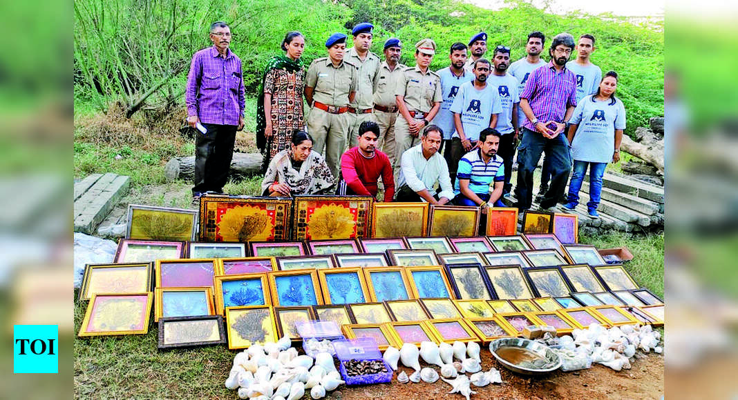Illegal Animal, Coral Trade Busted | Vadodara News - Times of India