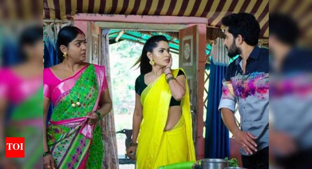 Karthika Deepam preview: Here's how Monitha will find out if Karthik tricked her - Times of India