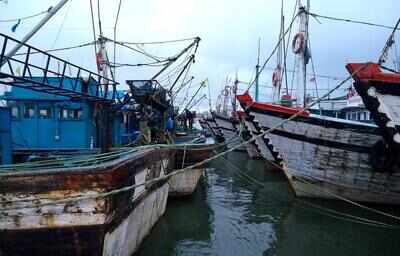 Govt notifies fish landing centres across state | Goa News - Times of India