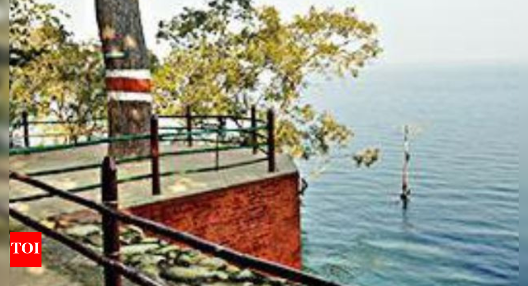 UP jungle tourism tariff now up 10-fold, hike after 12 years | Bareilly ...