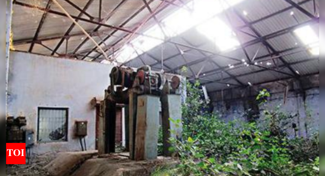 Odisha: Fast for reopening Tirtol mill | Bhubaneswar News - Times of India