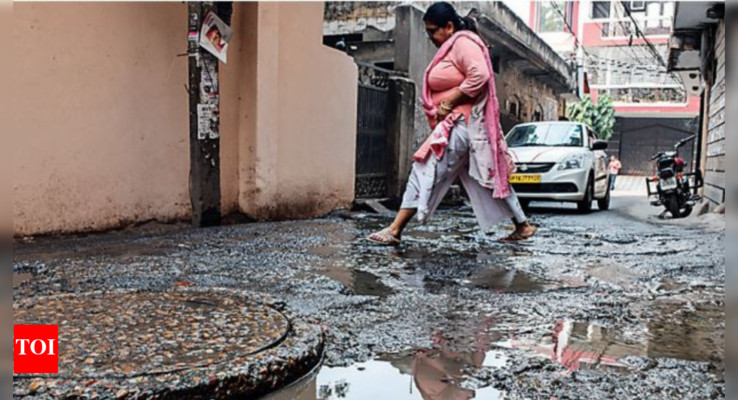 Delhi: Residents battle stench, poor infrastructure and broken roads ...