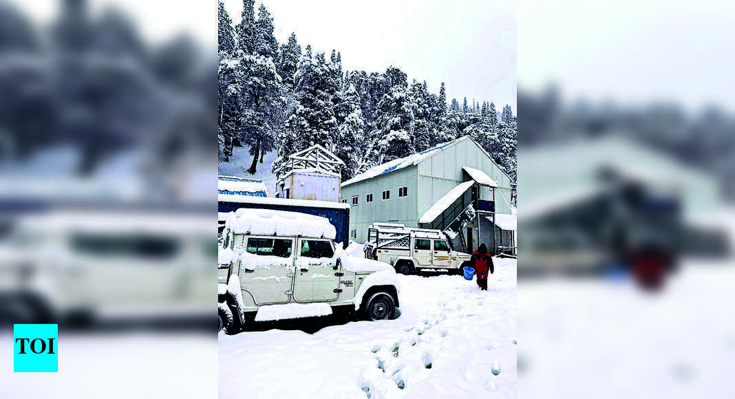 Kullu: In Kullu, Defunct Bridge On Beas Emerges As A Major Poll Issue ...