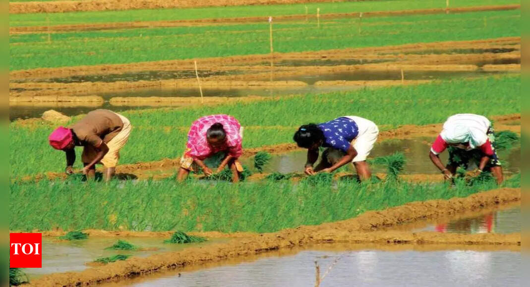 Wrd: Dam water will be released by November 14 for agriculture: WRD ...