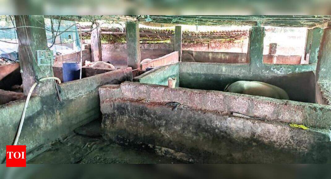 Chinchinim: Chinchinim panchayat issues notices over dumping of ...