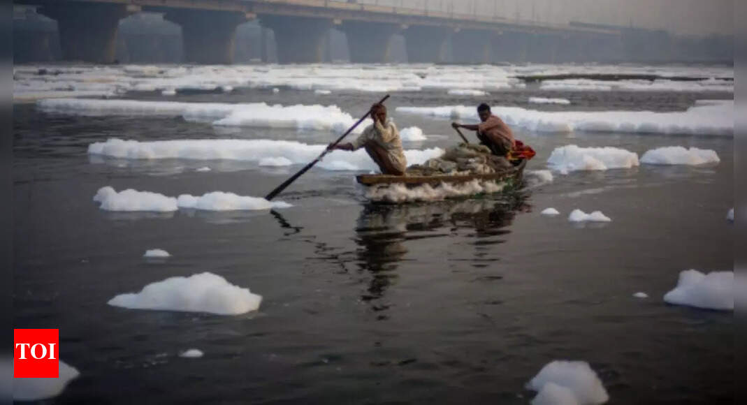 Condition of Yamuna inside Delhi worsens, finds DPCC | Delhi News ...