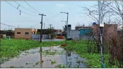 Chennai: Encroachments take the life out of 5,000-acre Puzhal lake ...
