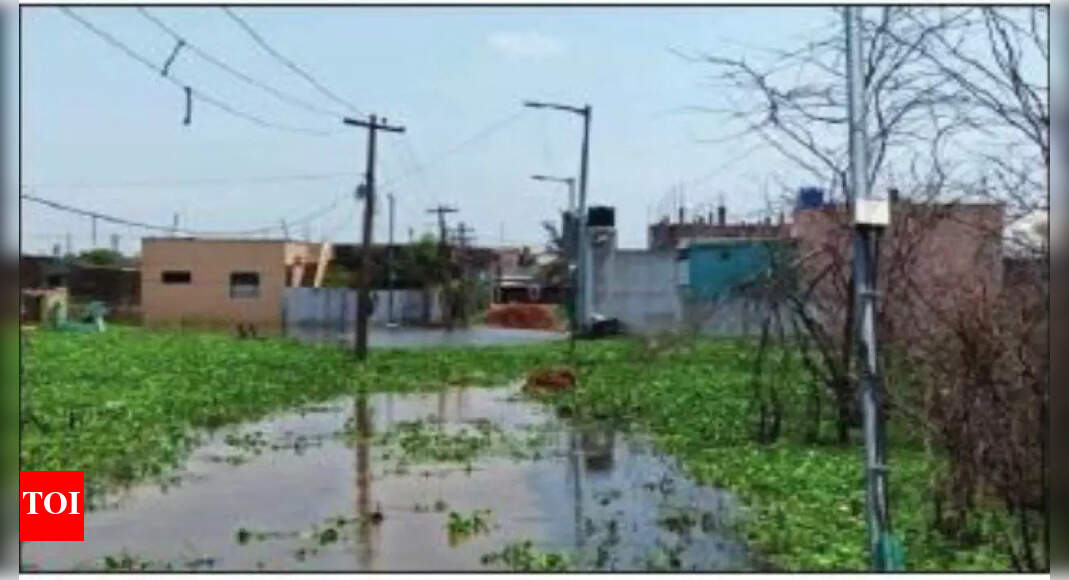 Puzhal: Chennai: Encroachments take the life out of 5,000-acre Puzhal ...