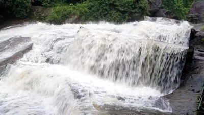 Kutralam: Coimbatore: Kovai Kutralam falls closed for tourists ...
