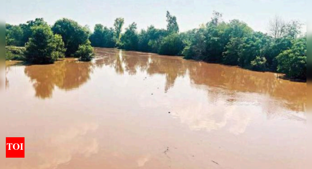 Ghaggar: Punjab and Haryana sit on Ghaggar flooding solution | Ludhiana ...