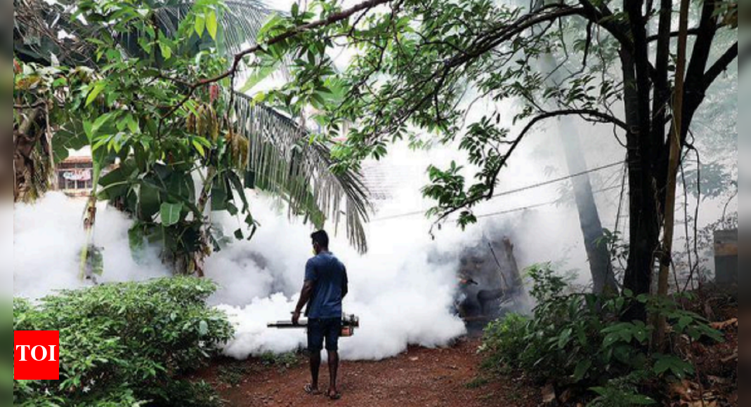 Goa sees steady drop in dengue cases, but infection concentrated in ...