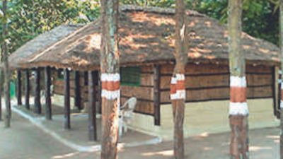 UP: Huts, cottages pre-booked at Pilibhit Tiger Reserve, Dudhwa Tiger ...