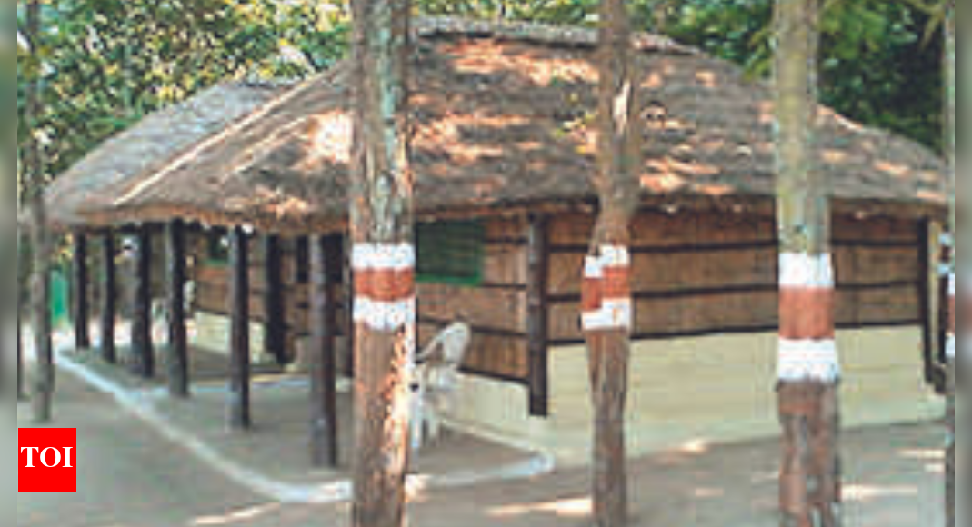UP: Huts, cottages pre-booked at Pilibhit Tiger Reserve, Dudhwa Tiger ...