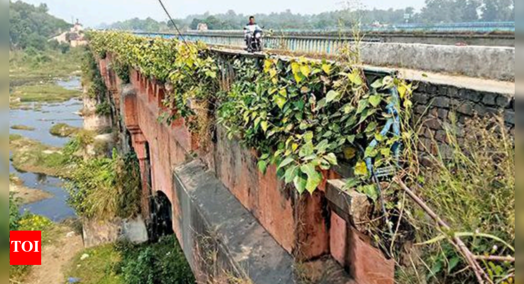 Uttarakhand: British-era Solani aqueduct in Roorkee dies slow death due ...