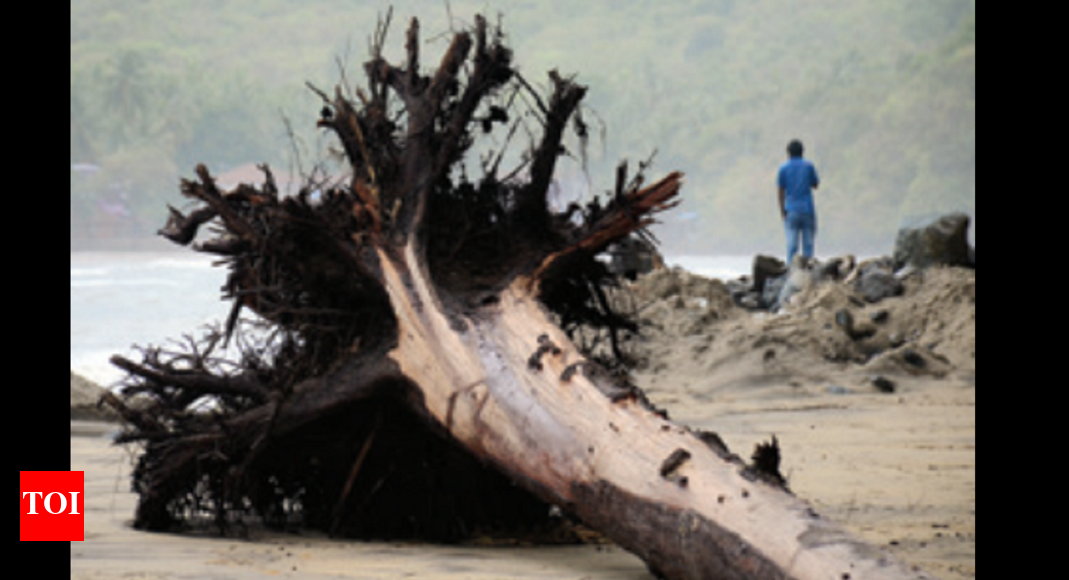 Goa: Excessive sand mining sees Mandovi river banks collapse in 12 ...