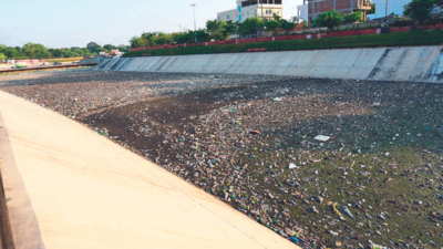 Filth for view, stench for company | Jaipur News - Times of India