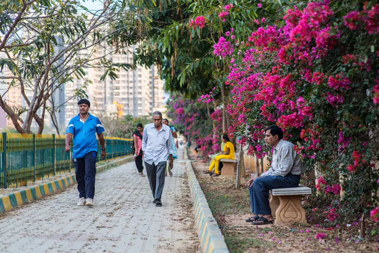 In pictures: Add these park experiences to your Bengaluru itinerary ...