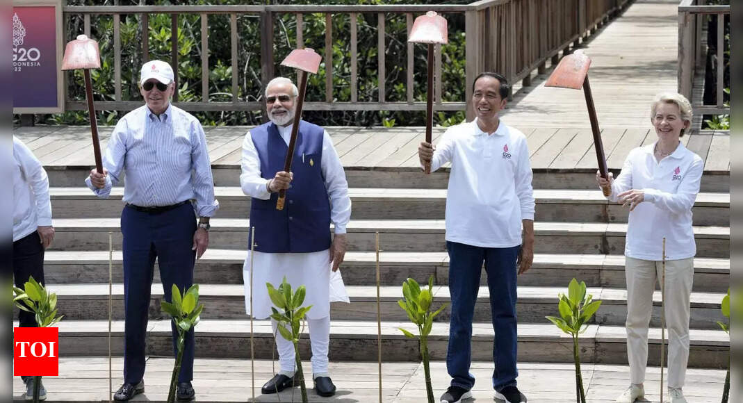 In Bali 'consensus', G20 echoes Modi’s not-the-era-of-war remark | India News - Times of India
