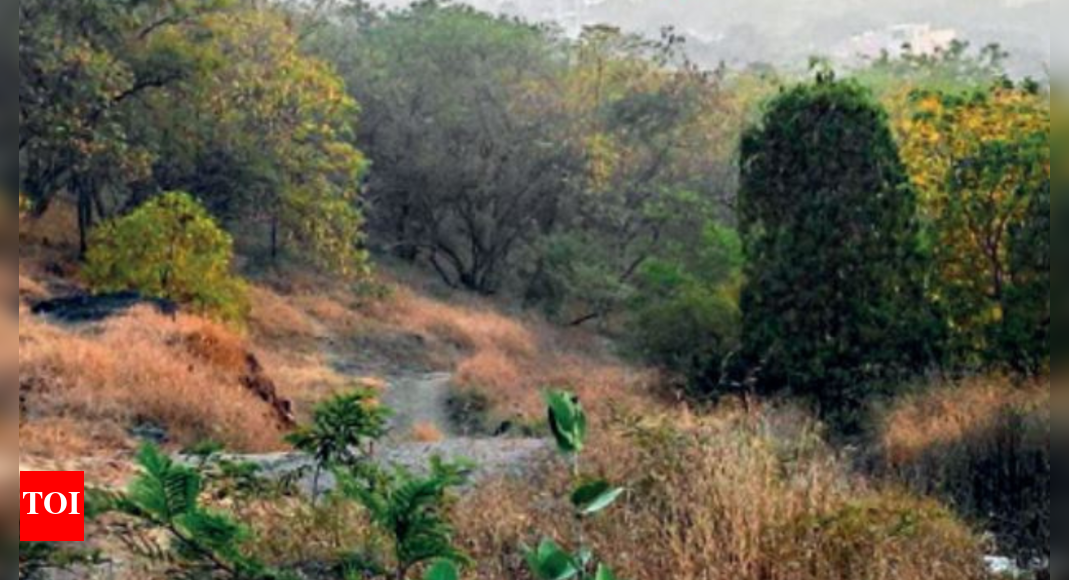 Pmc: Pune Municipal Corporation now proposes elevated Balbharti-Paud ...