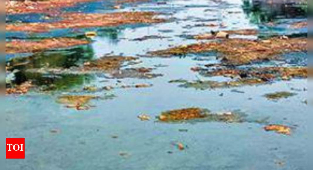 Ngt: Public Perseverance Forces Ngt To Reopen Case Of Lake Pollution ...