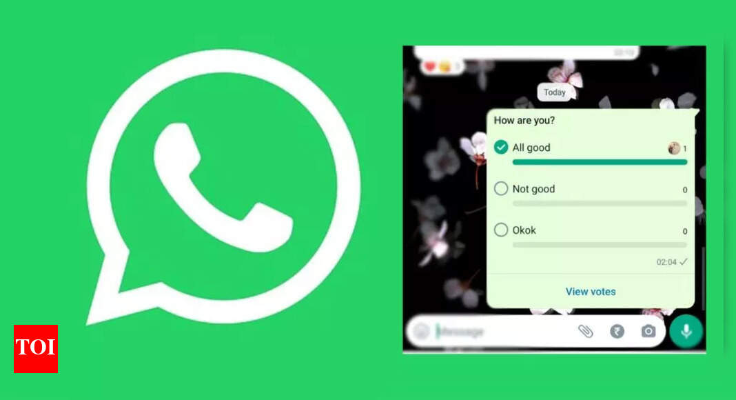 How To Create In chat Polls On WhatsApp Times Of India News Summary 