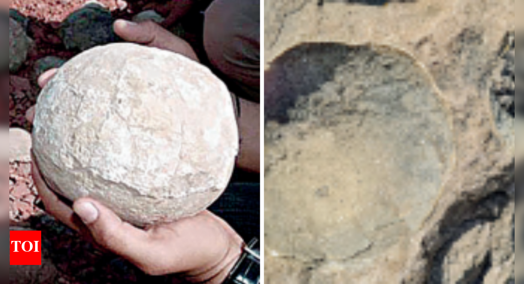 Bagh: Bagh dinosaur site may be India's first Unesco Global Geopark ...