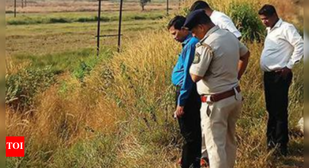 Goa: One held for fish vendor’s murder | Goa News - Times of India