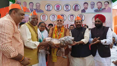 Bjp: BJP lines up top leaders for campaigning in UP bypolls | Lucknow ...