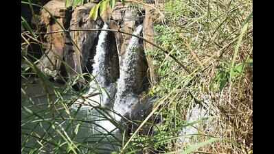 Karnataka completes survey and soil testing at Kankumbi | Goa News ...