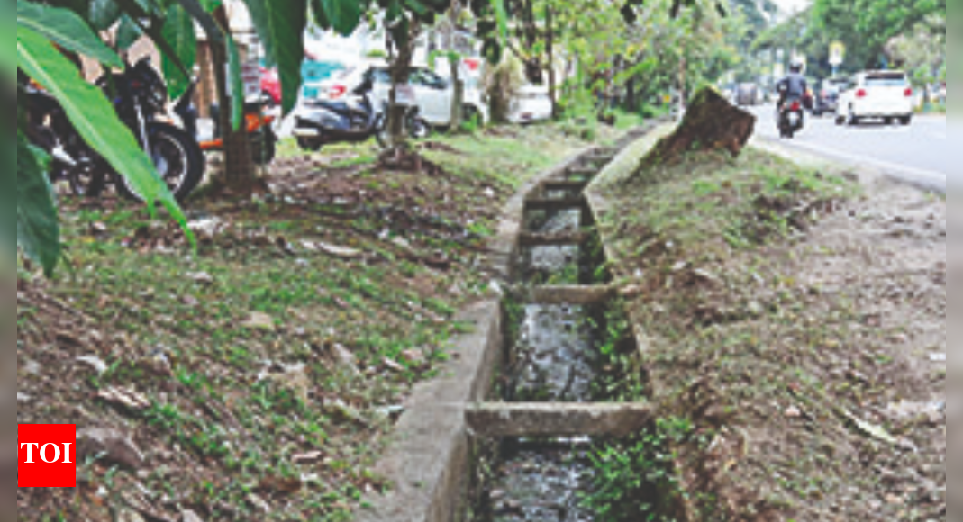 Kochi: Unscientific Cleaning Methods Turn Drains Into Death Traps | Kochi News - Times of India