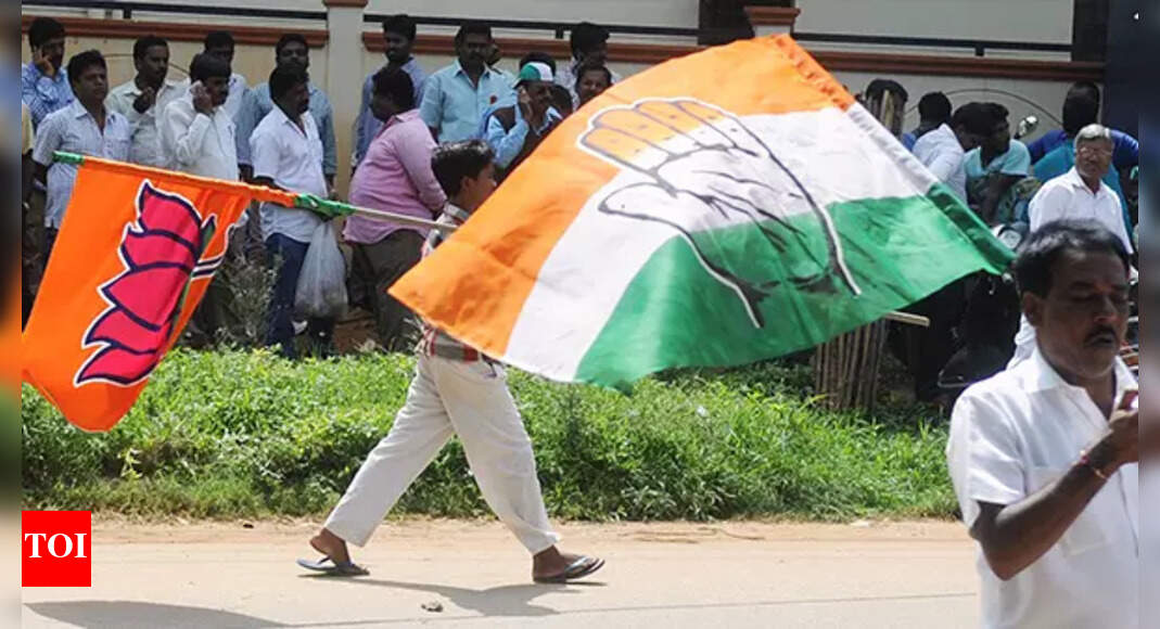 What does it cost to get crowds at political rallies? | India News ...