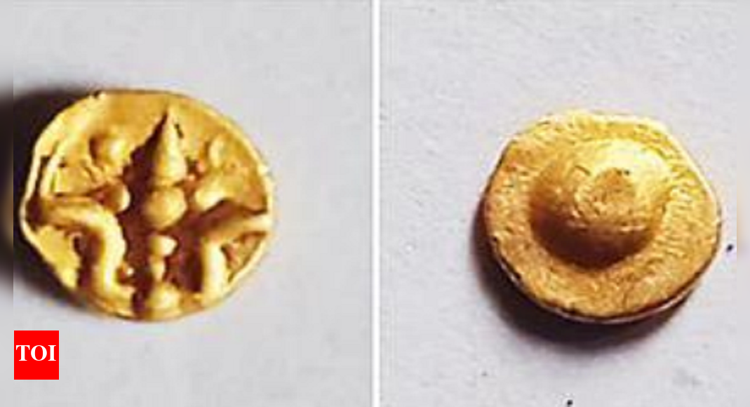 Kasba Beed: Conservationists Seek Museum At Kasba Beed | Kolhapur News ...