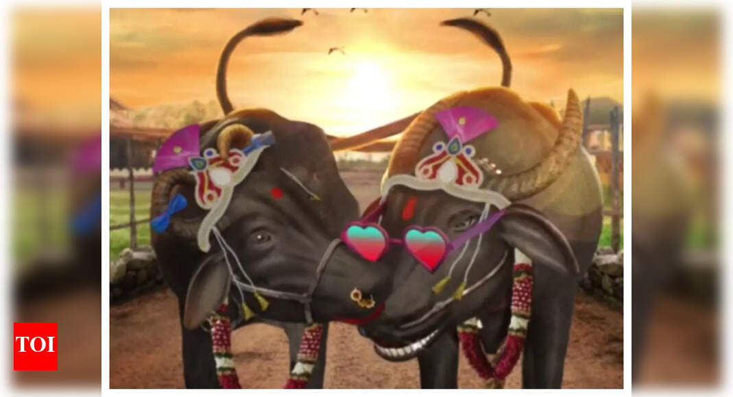 The motion poster of Dnyanesh Bhalekar's 'Dhondi Champya - Ek Prem Katha' is out! | Marathi ...