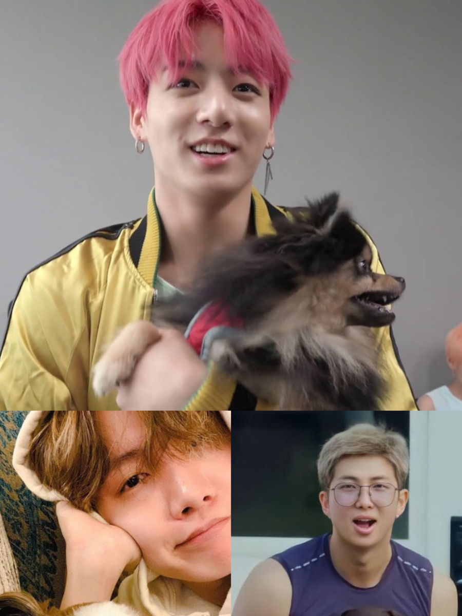 BTS boys and their pets | Zoom TV