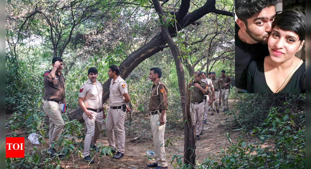 Shraddha Walkar murder: Where the case stands | Delhi News - Times of India