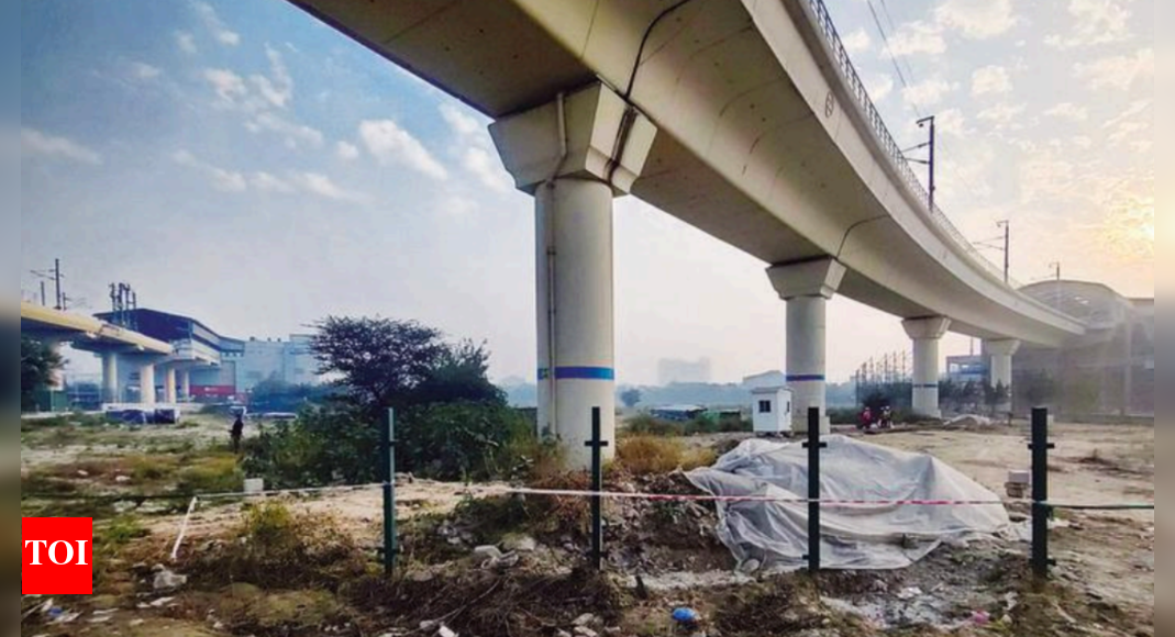 Blue: Switch Easy: Skywalk Linking Blue, Aqua Lines May Be Ready In A ...