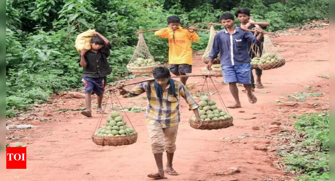 Girijana Bandhu: Girijana Bandhu May Not Cover All Tribals | Hyderabad ...