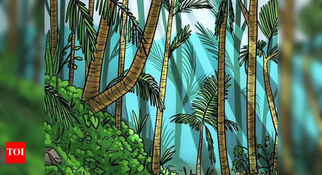 Only brilliant people can spot the hidden tiger in under 5 seconds ...