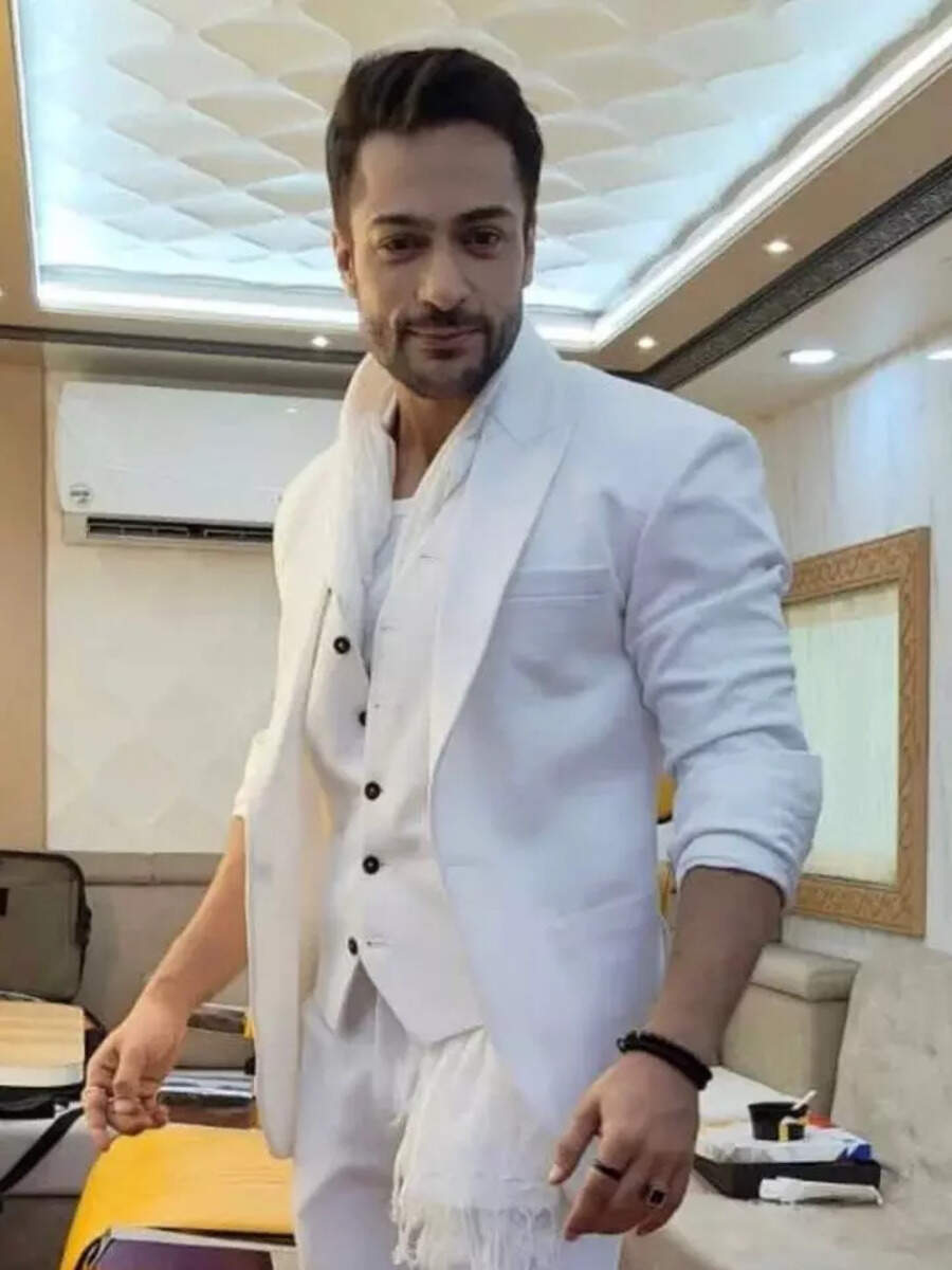 Shalin Bhanot to Bani J, Bigg Boss' most muscular contestants | Times ...