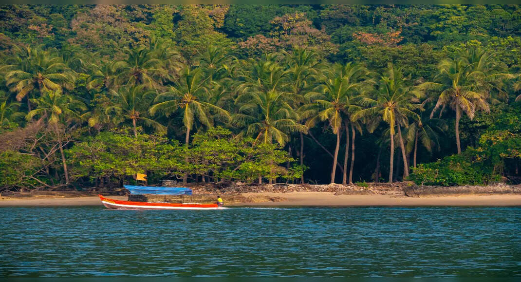 Give Goa a rest and head to Tarkarli instead. Here’s why | TimesTravel